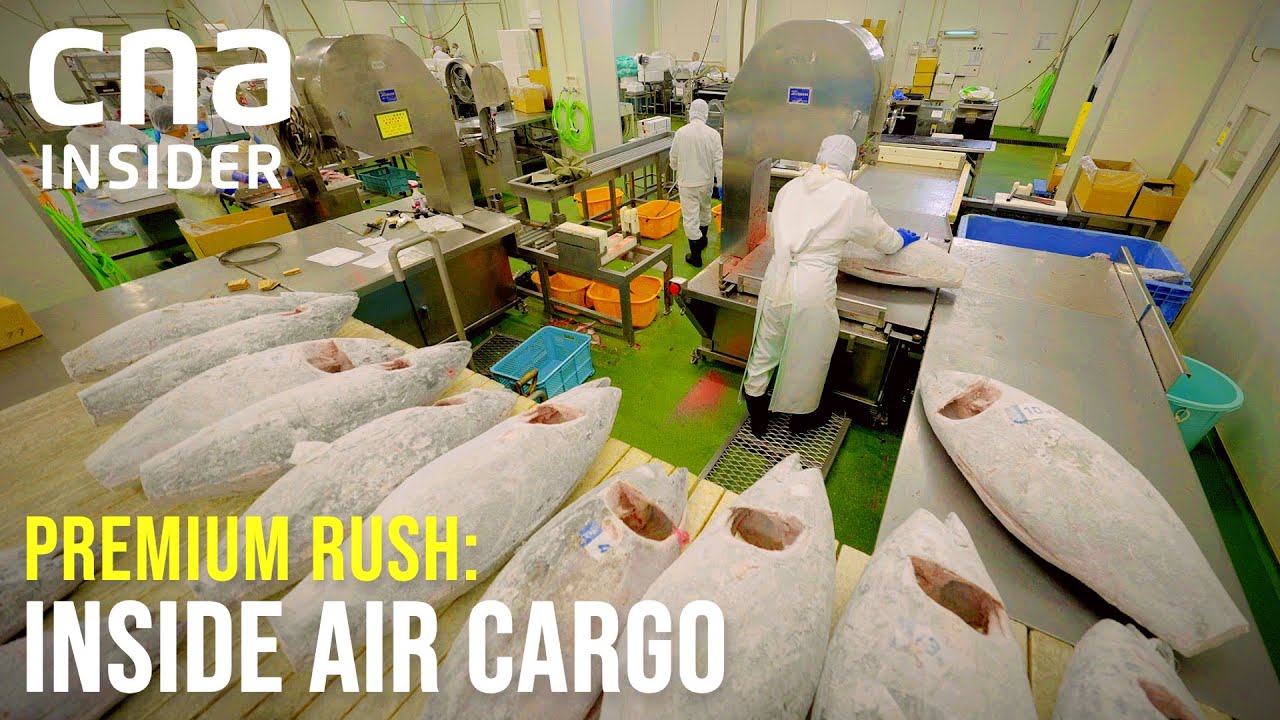 Inside An Air Cargo Hub: How Goods Flow Through Singapore | Premium ...