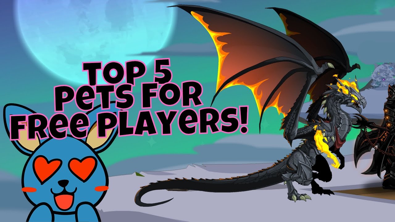 AQW Top 5 Pets For FREE Players! AQWorlds - YouTube