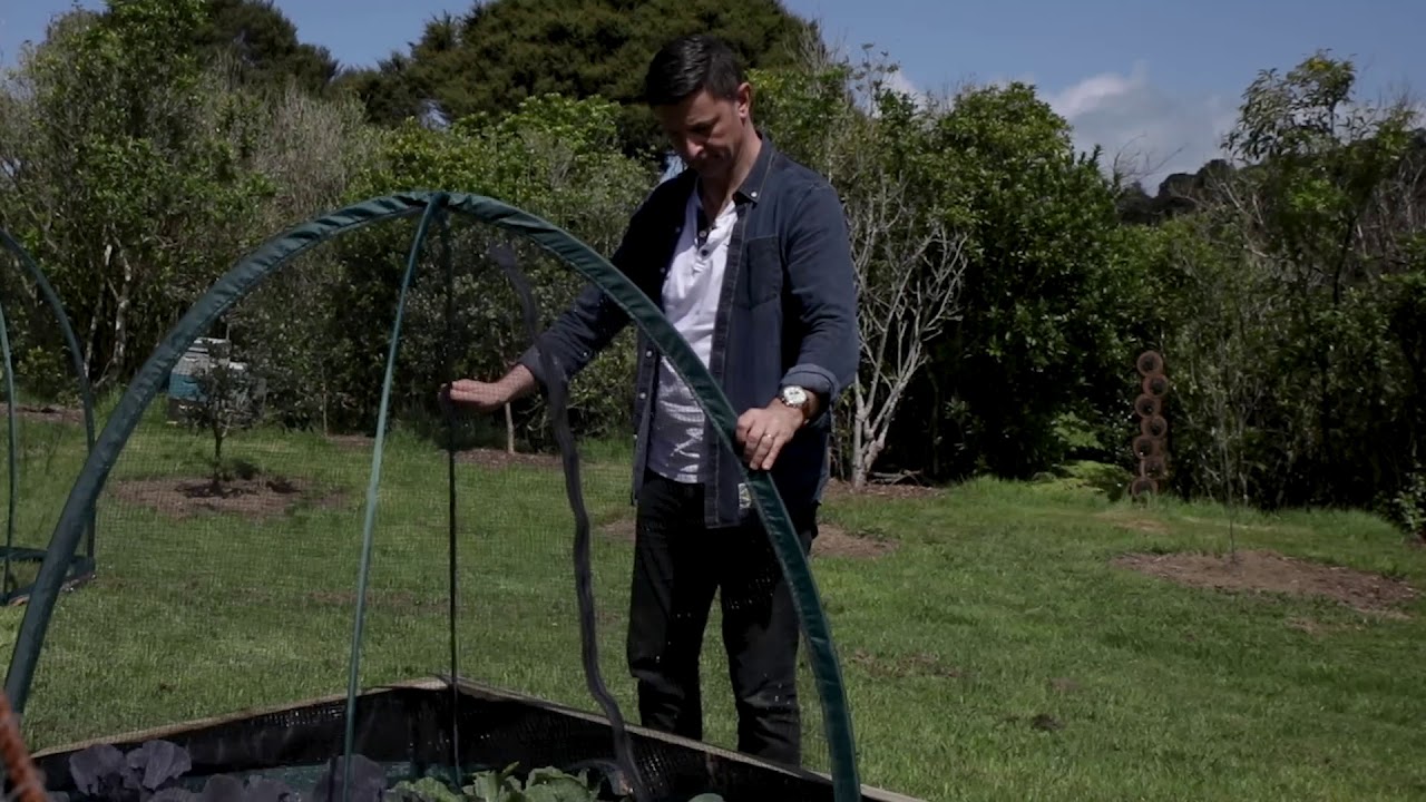 Popadome Assembly - YouTube