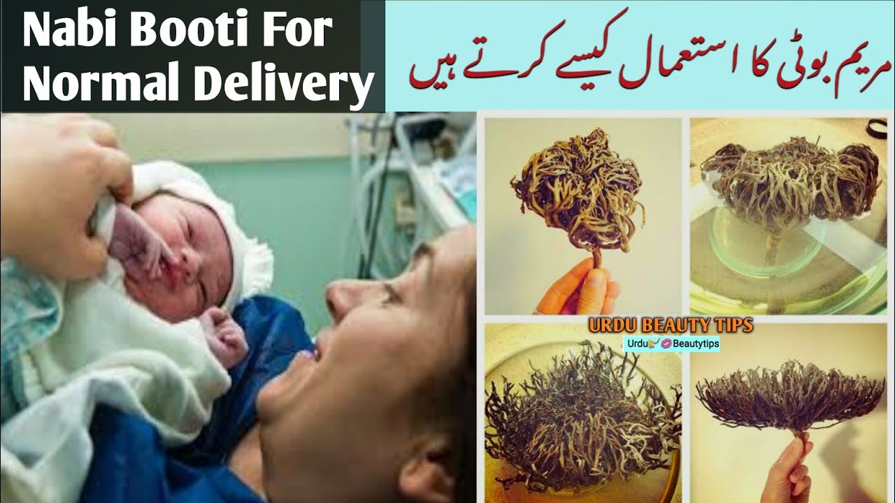 Nabi Booti ka istemal | Nabi Booti for Pregnancy | Maryum Booti kia hai ...