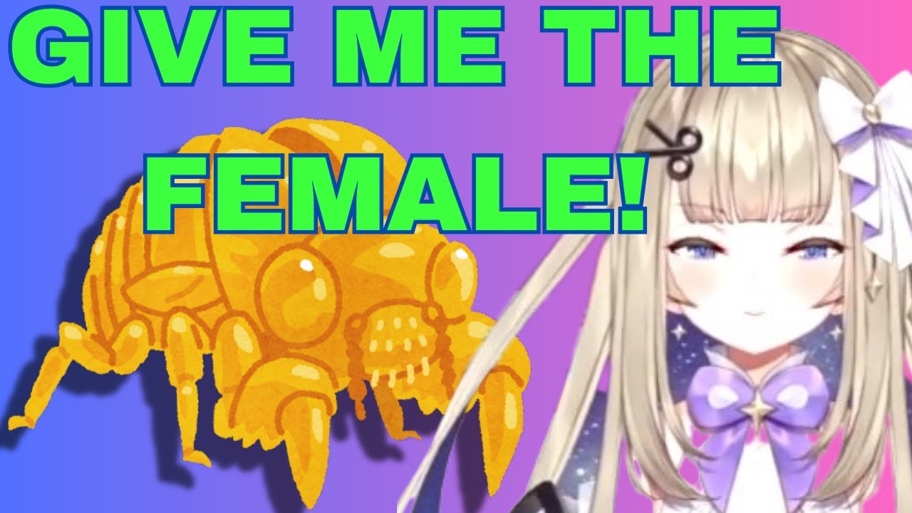 VTuber Teaches You About Cicada Life! Amanogawa Shiina of Phase Connect ...