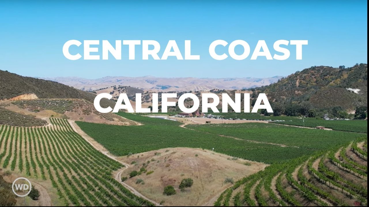 Diving Into California's Central Coast Wine Region - YouTube