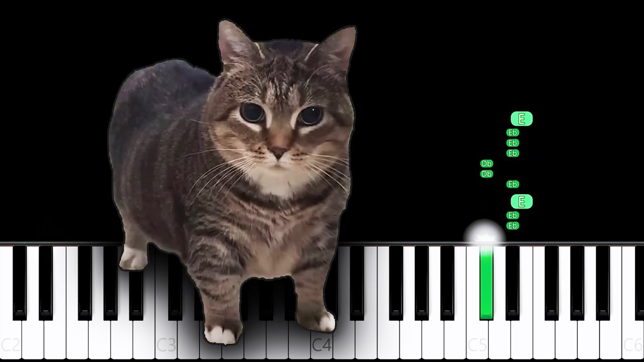OIIAOIIA CAT MEME SONG Piano Tutorial - YouTube