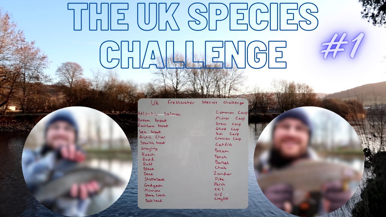 MY MOST AMBITIOUS CHALLENGE EVER!! UK freshwater species challenge ...