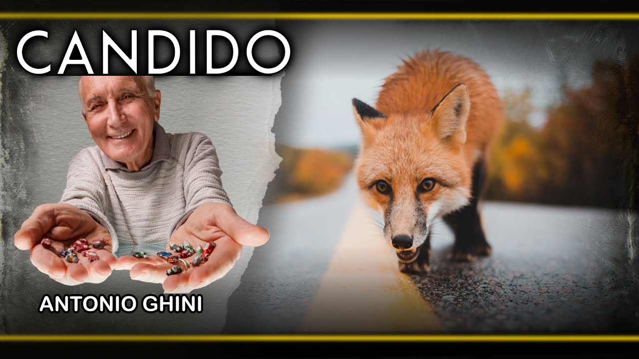 Ghini: "La volpe Verstappen nel mondo animale della F1" - YouTube