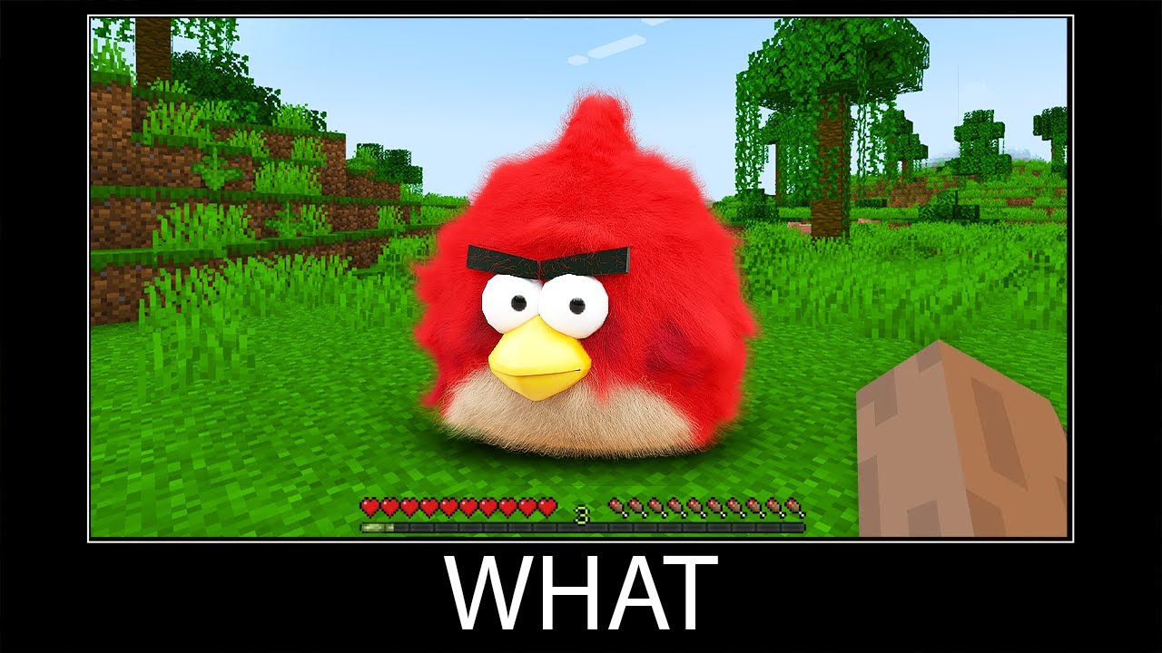 Minecraft wait what meme part 239 realistic minecraft Angry birds - YouTube