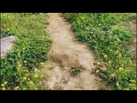Terrain Vague for viola and electronics // abi prián