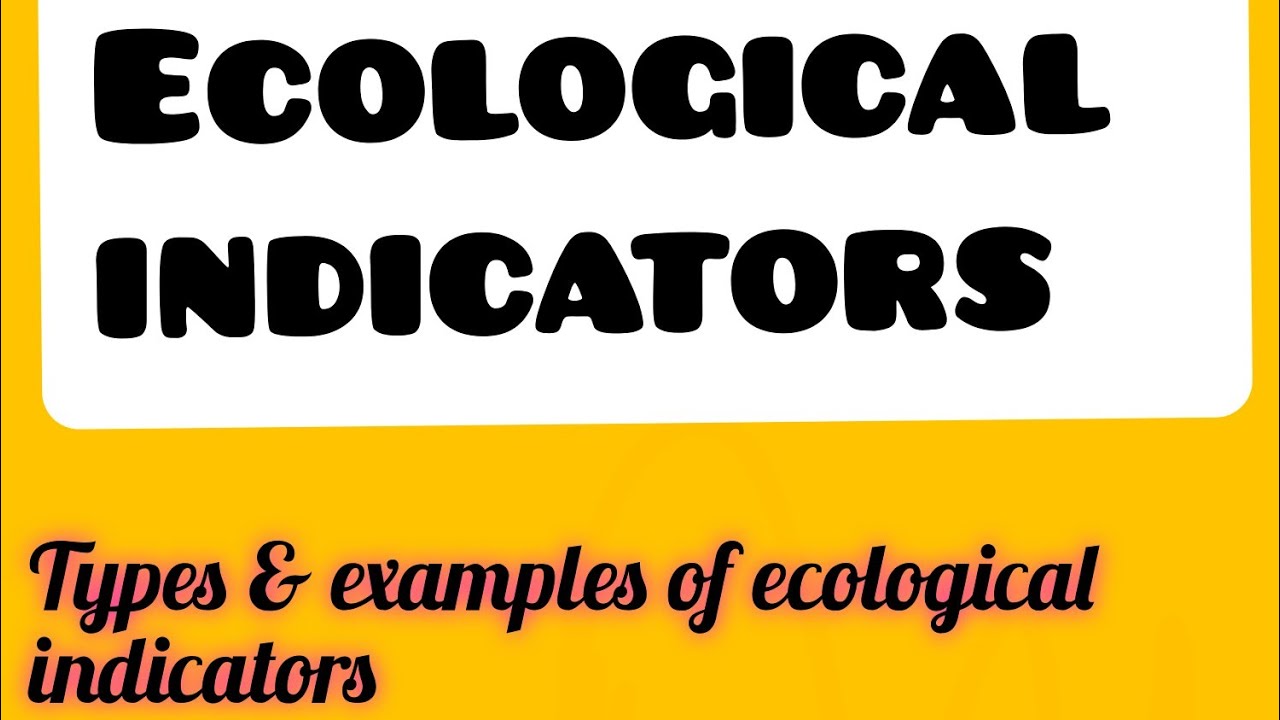 Ecological indicators || Types of ecological indicators | Biodiversity ...