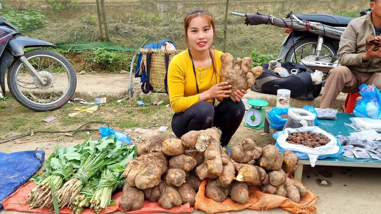 Harvest wild tubers and green vegetables and bring them to the market ...