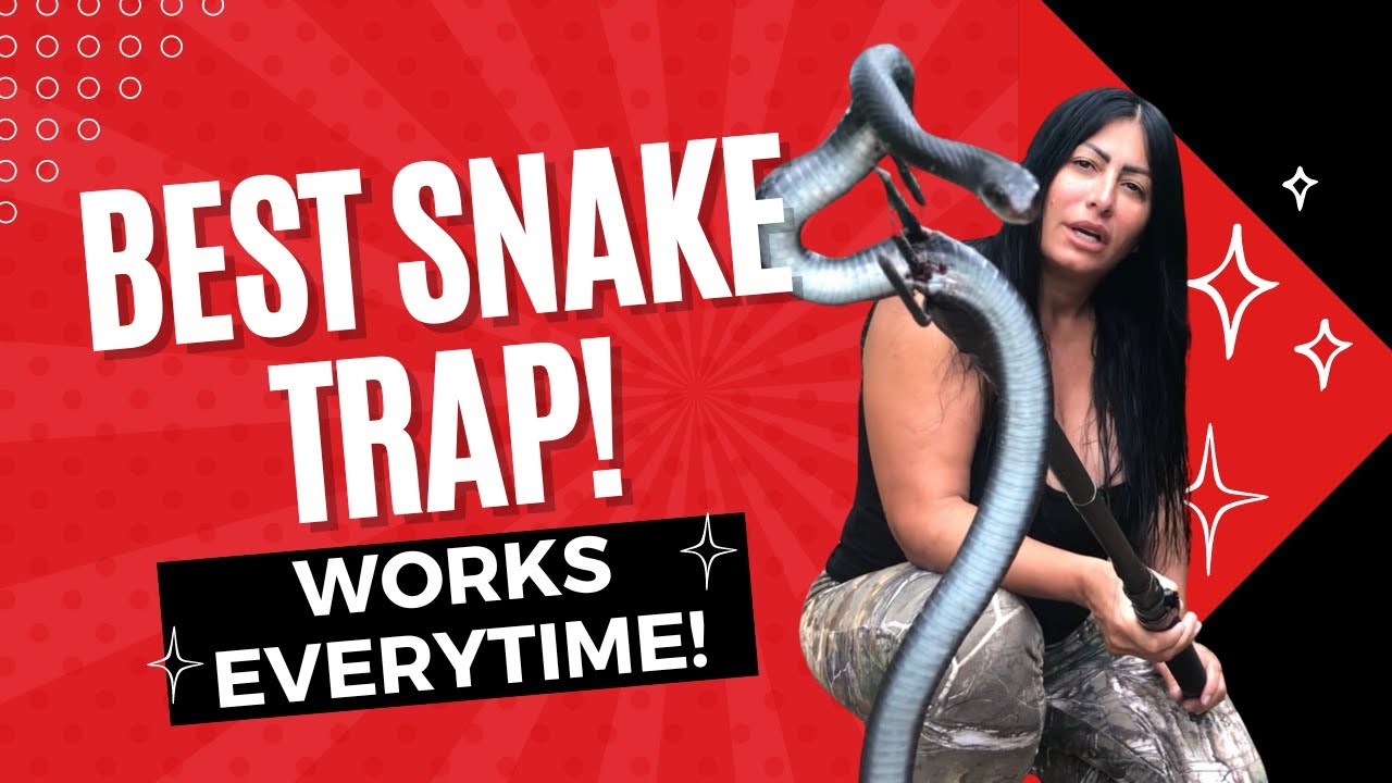 Snake Trap Secrets Revealed: Watch How We Catch Predators! - YouTube