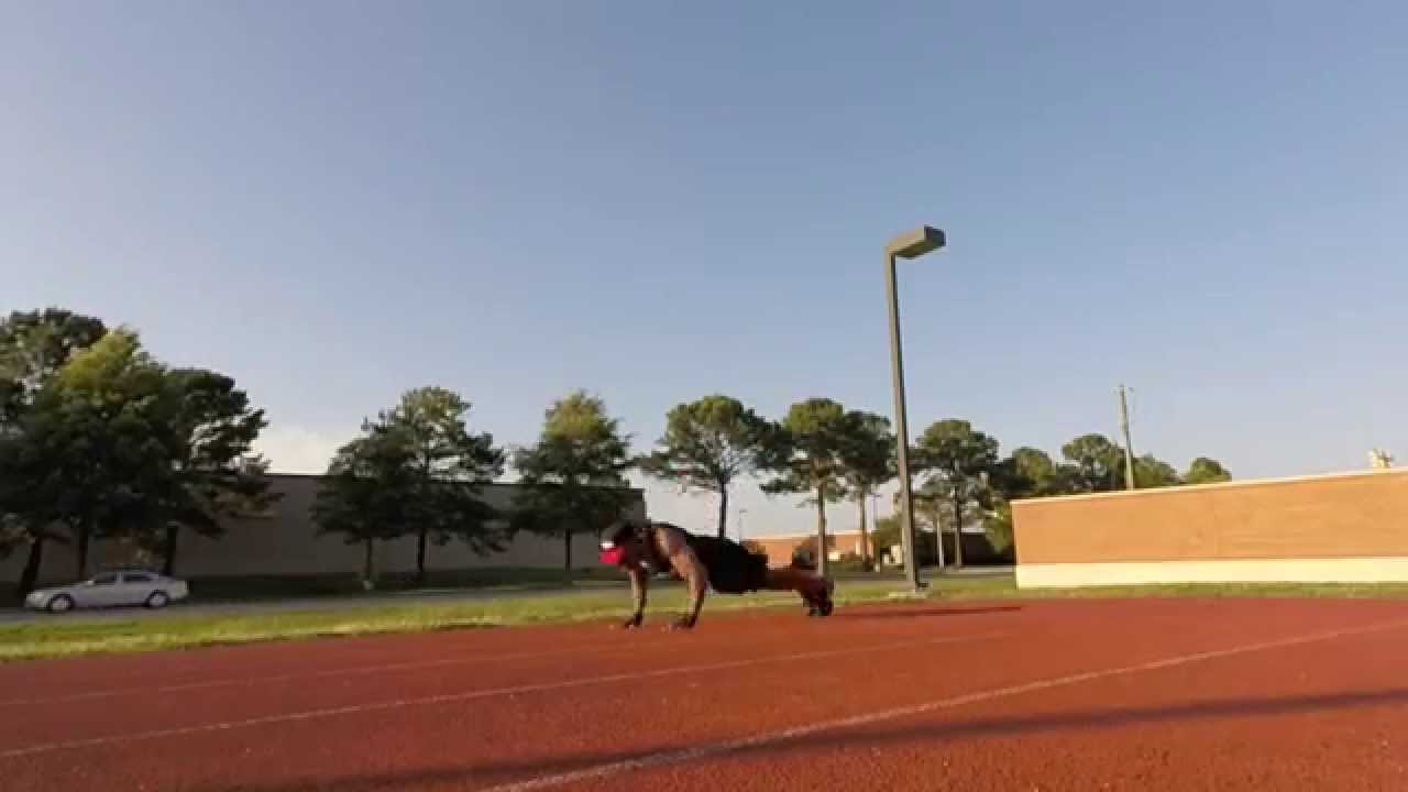 BRICKZILLA HIGHLIGHT VIDEO - YouTube