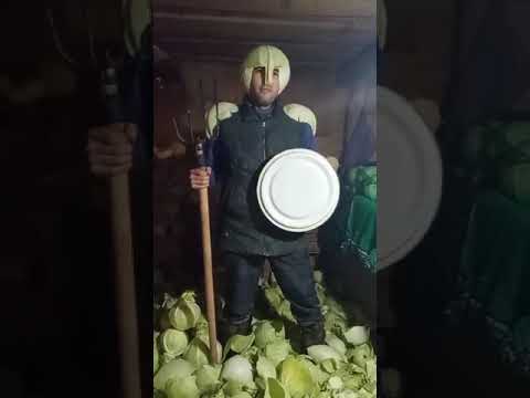 - Кто ты воин? - Ахилес, сын Пилея👍🤣 - YouTube