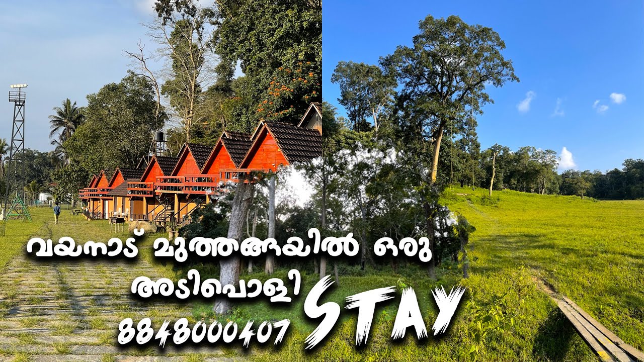 wayanad Muthanga Forest stay #wayanad #resort - YouTube