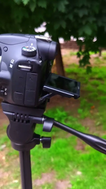 телеобъектив SIGMA 70-30 в связке с SONY A-58 #photo #portrait # ...