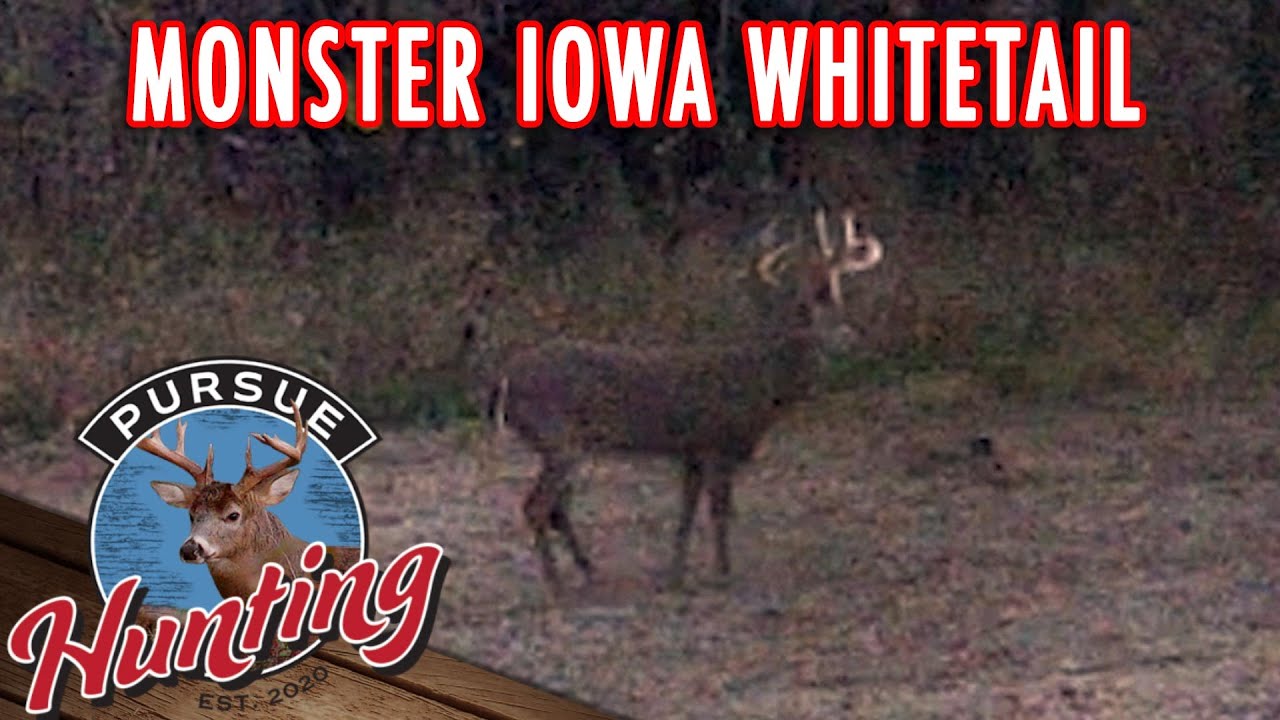 Hunting Iowa Whitetails - Day 3-4 | Monster Buck - YouTube