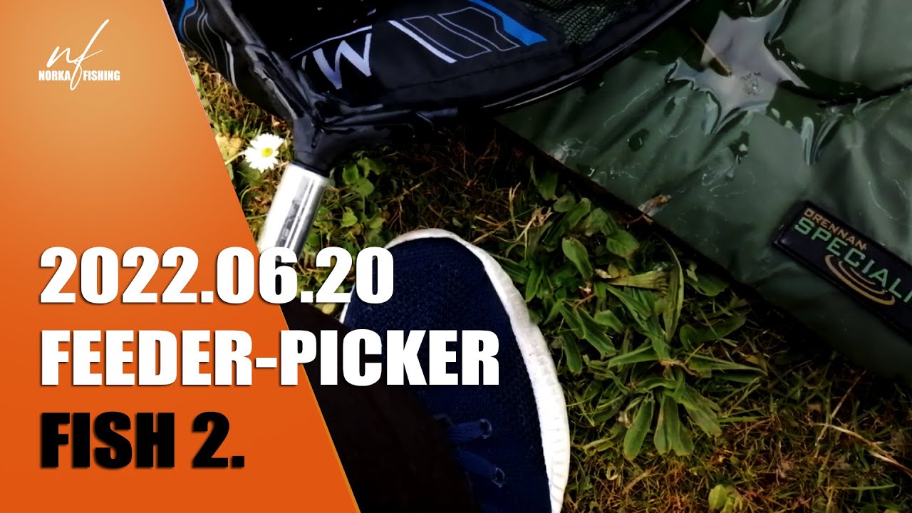 FEEDER FISHING-PICKER FISH 2. 2022.06.20 - YouTube
