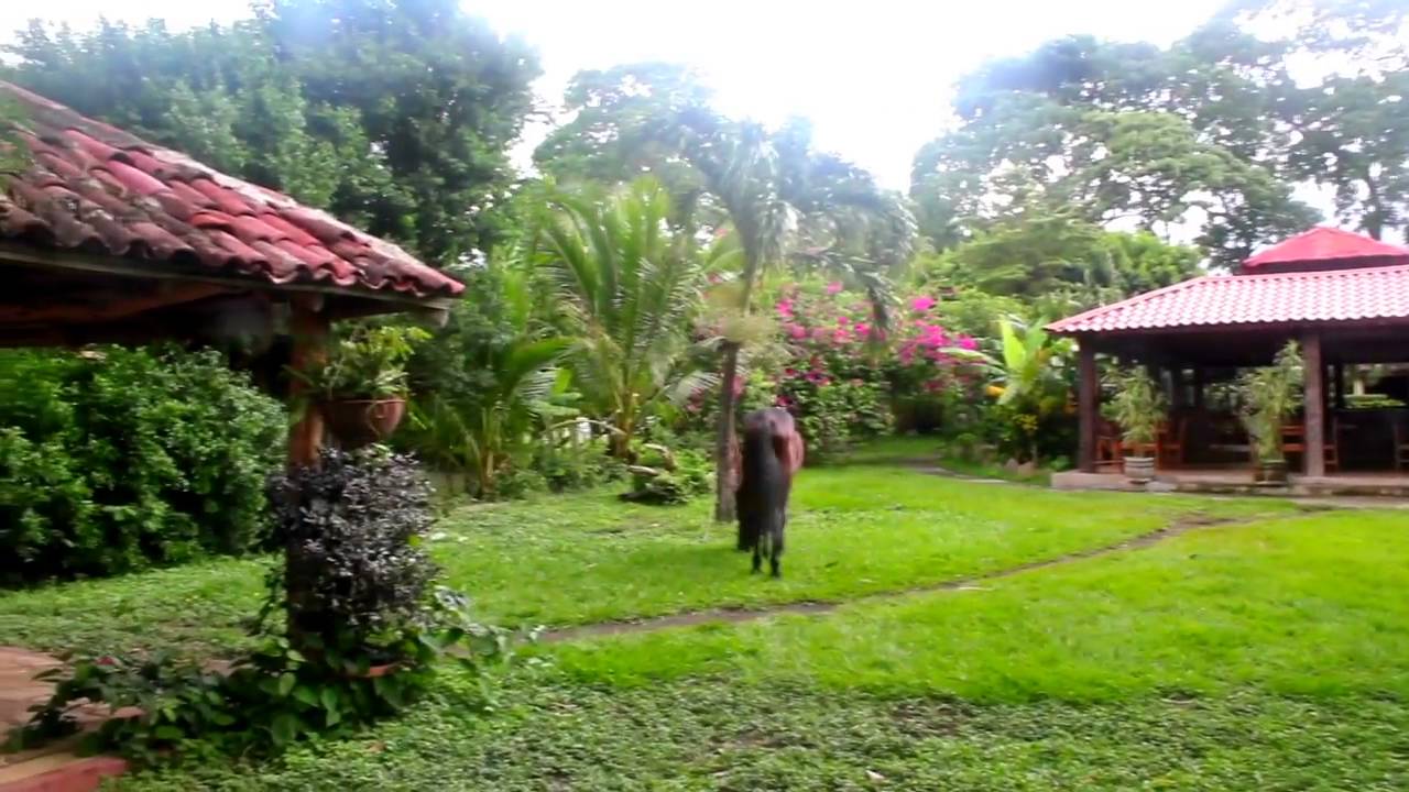Finca Venecia on Isla de Ometepe - YouTube