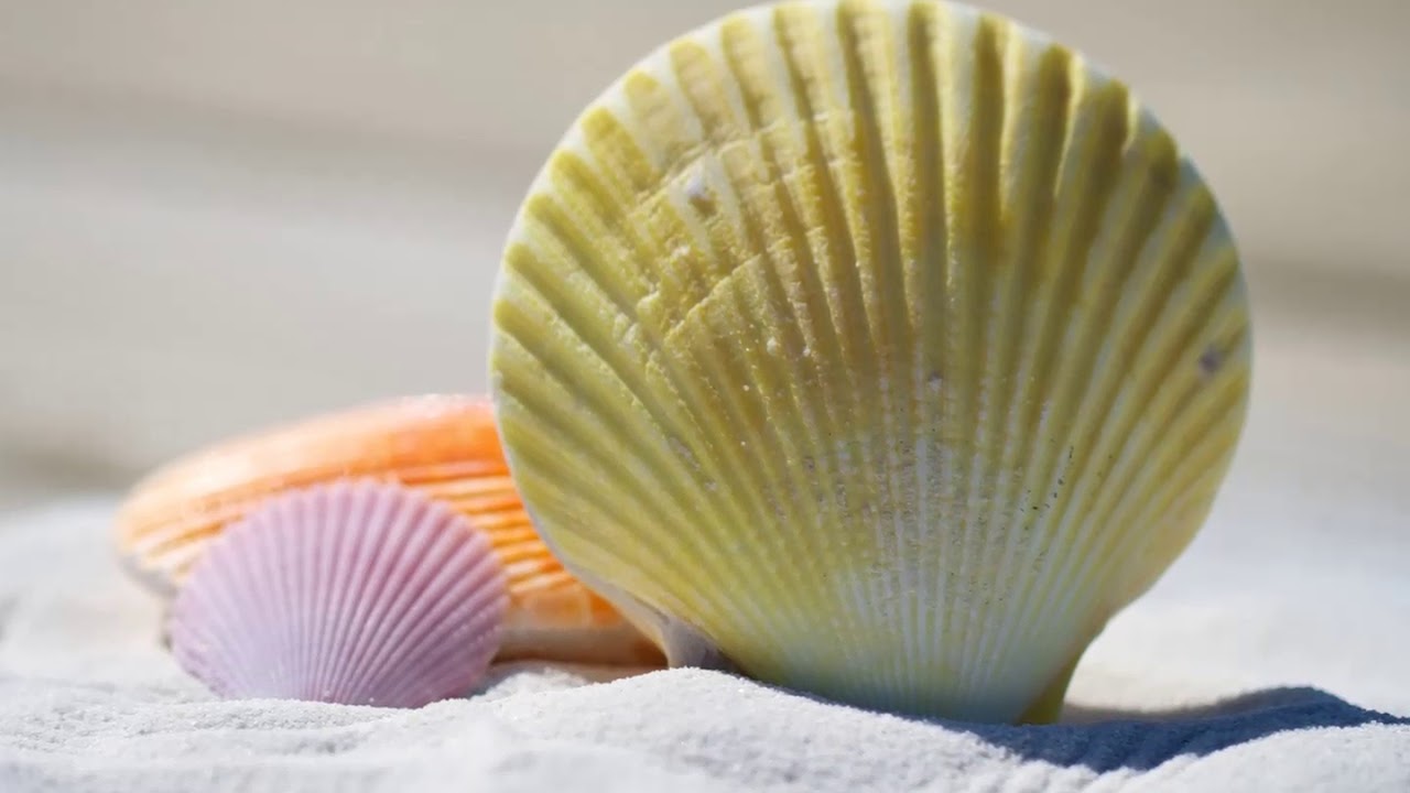 Le sable et la mer - Edith Martel - YouTube