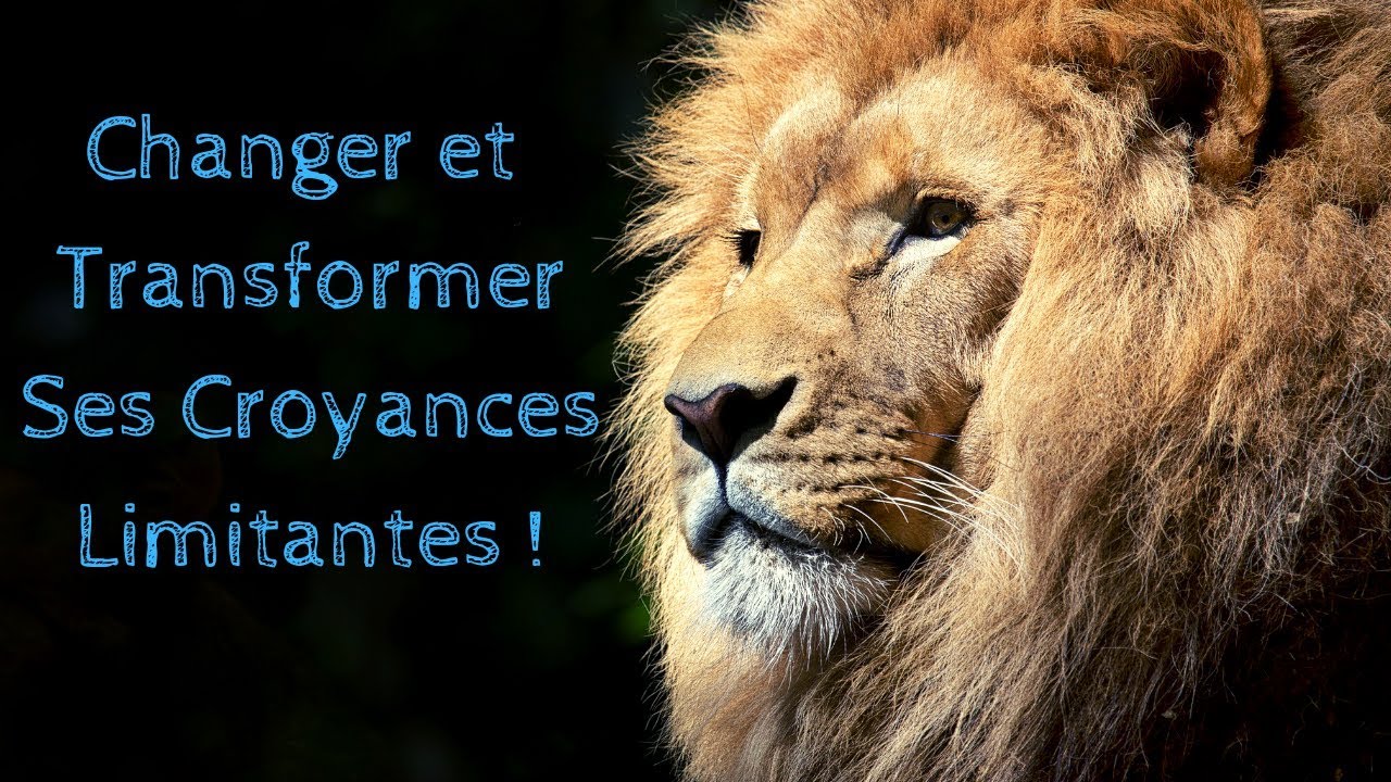 Changer ses Croyances Limitantes🔥Garder vos #Croyances #Positives ...