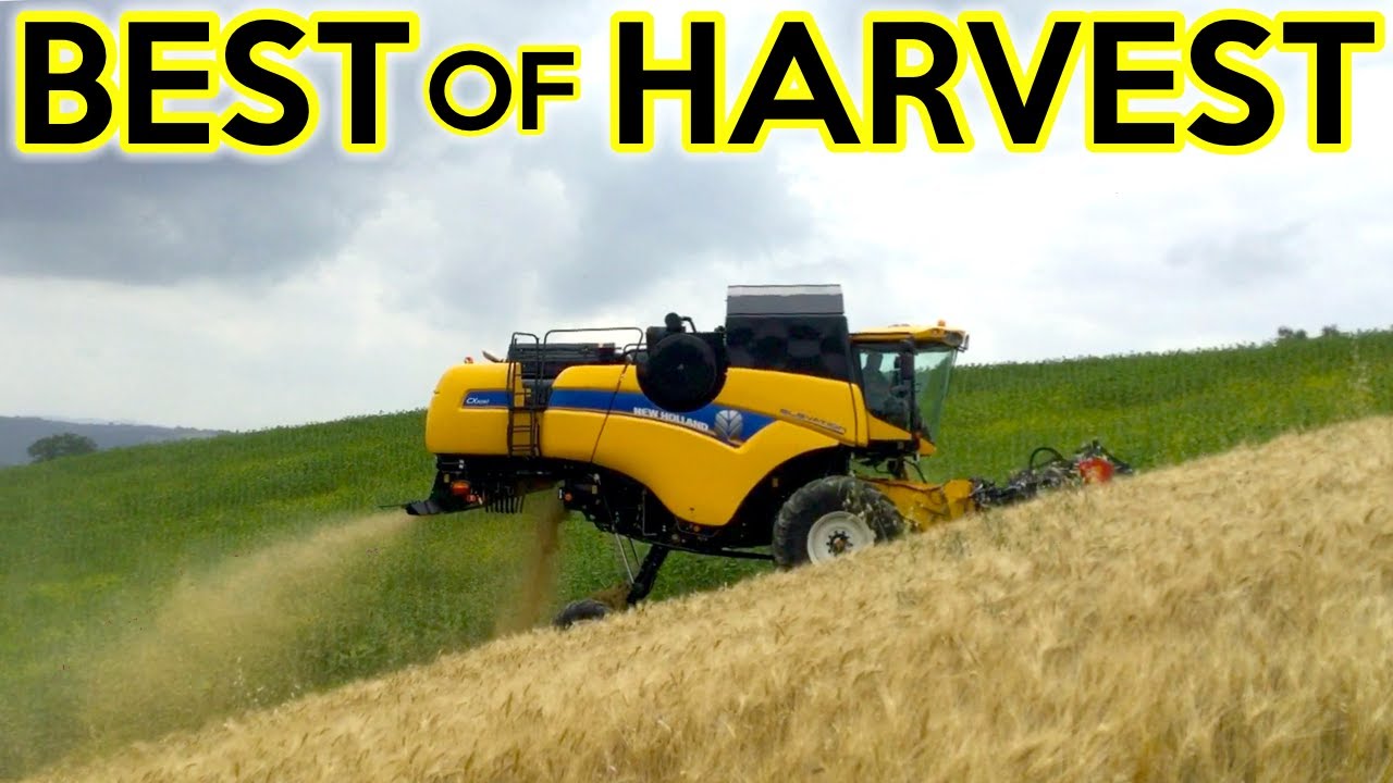 BEST OF HARVEST - YouTube