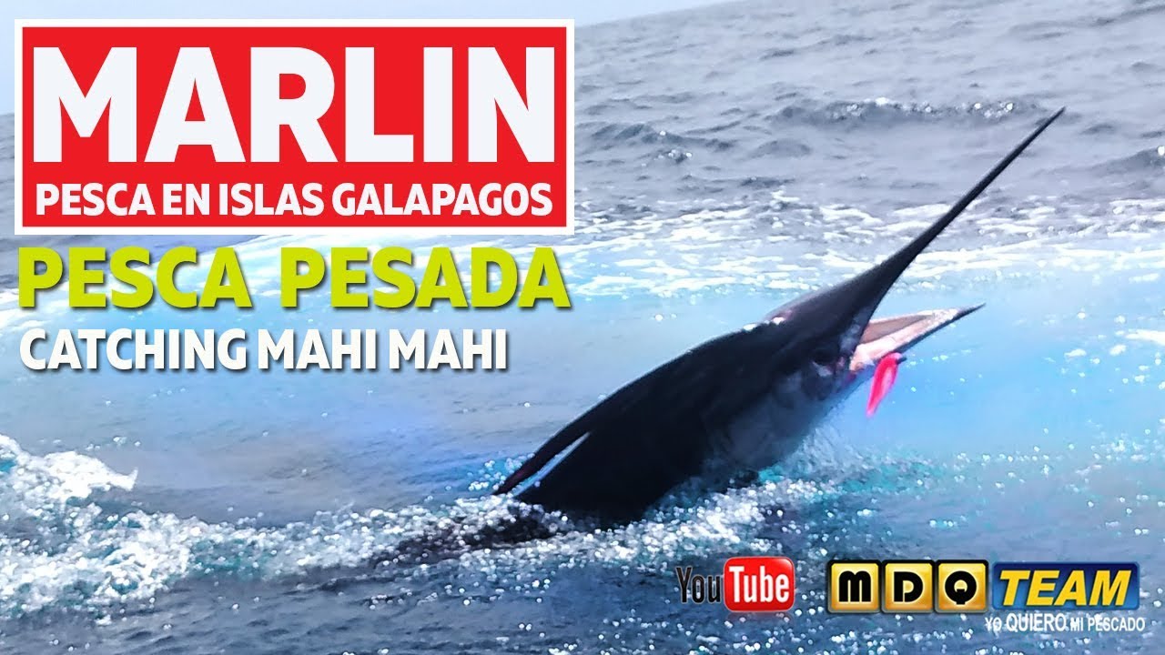 Lo que todos soñamos pescar - PESCA PESADA - YouTube