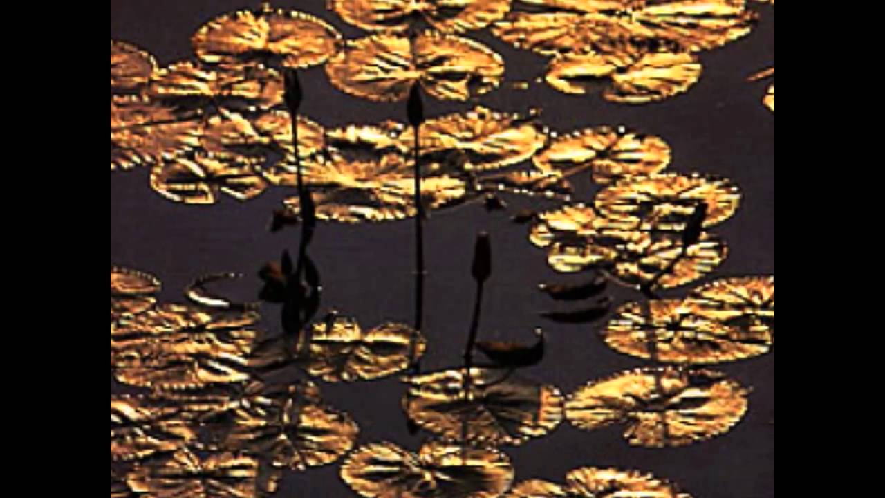 W. D. Amaradeva-manel mal - YouTube