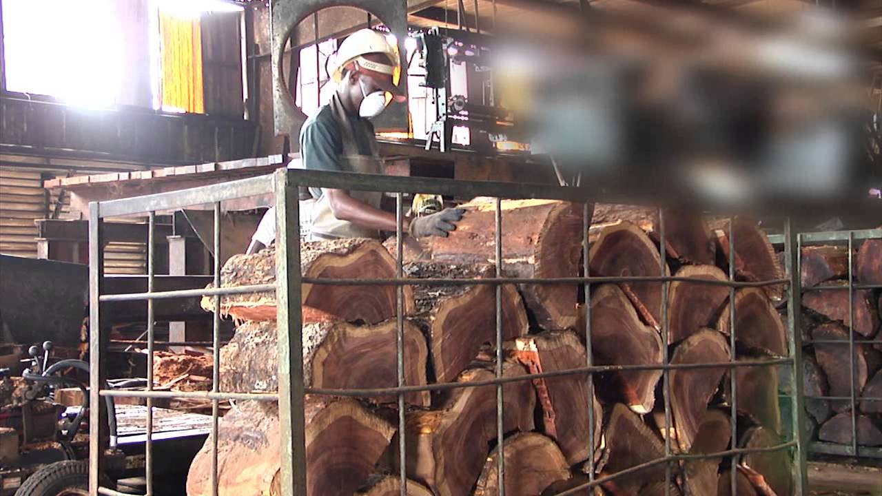 Documentary on the Timber Industry in Guyana - YouTube