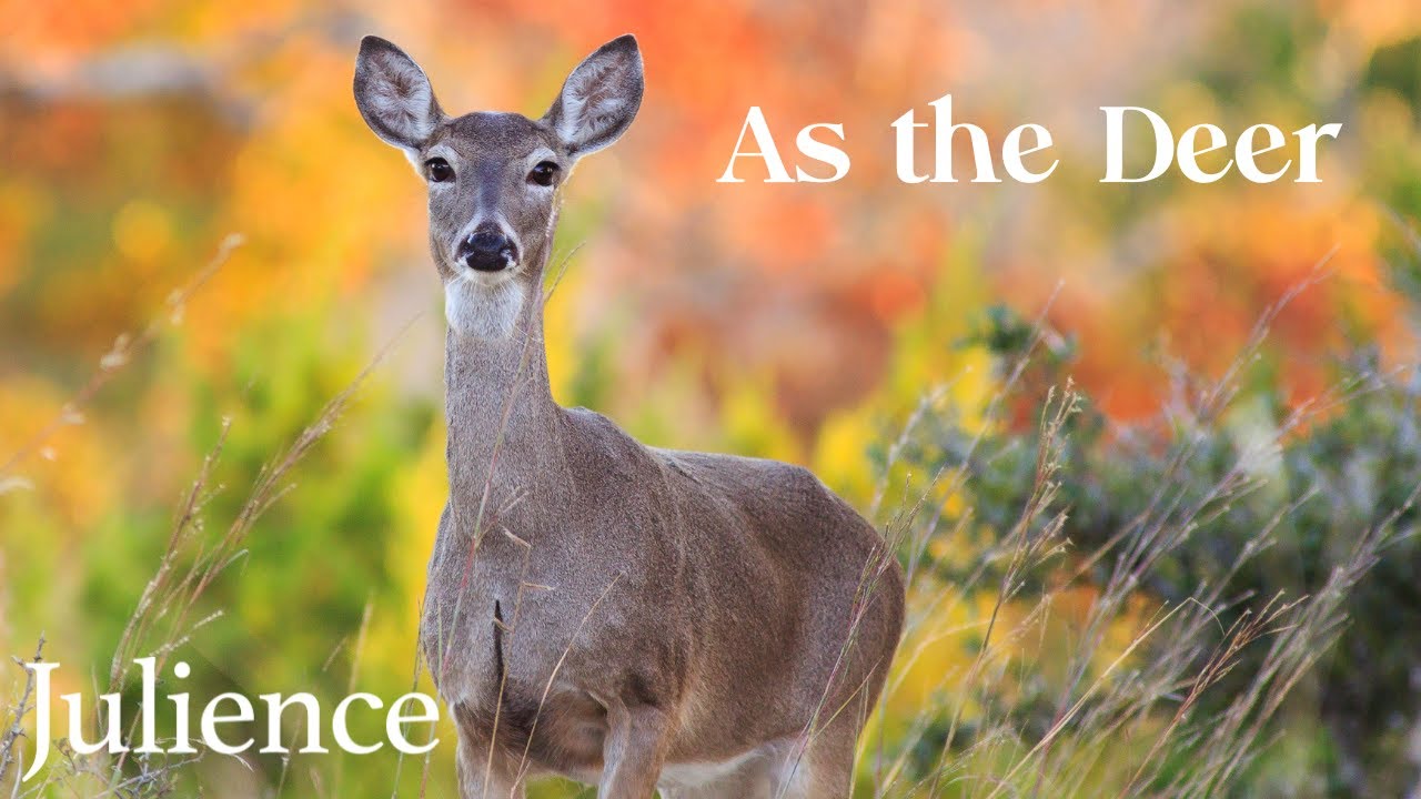 Julience - As the Deer (Official Lyric Video) - YouTube