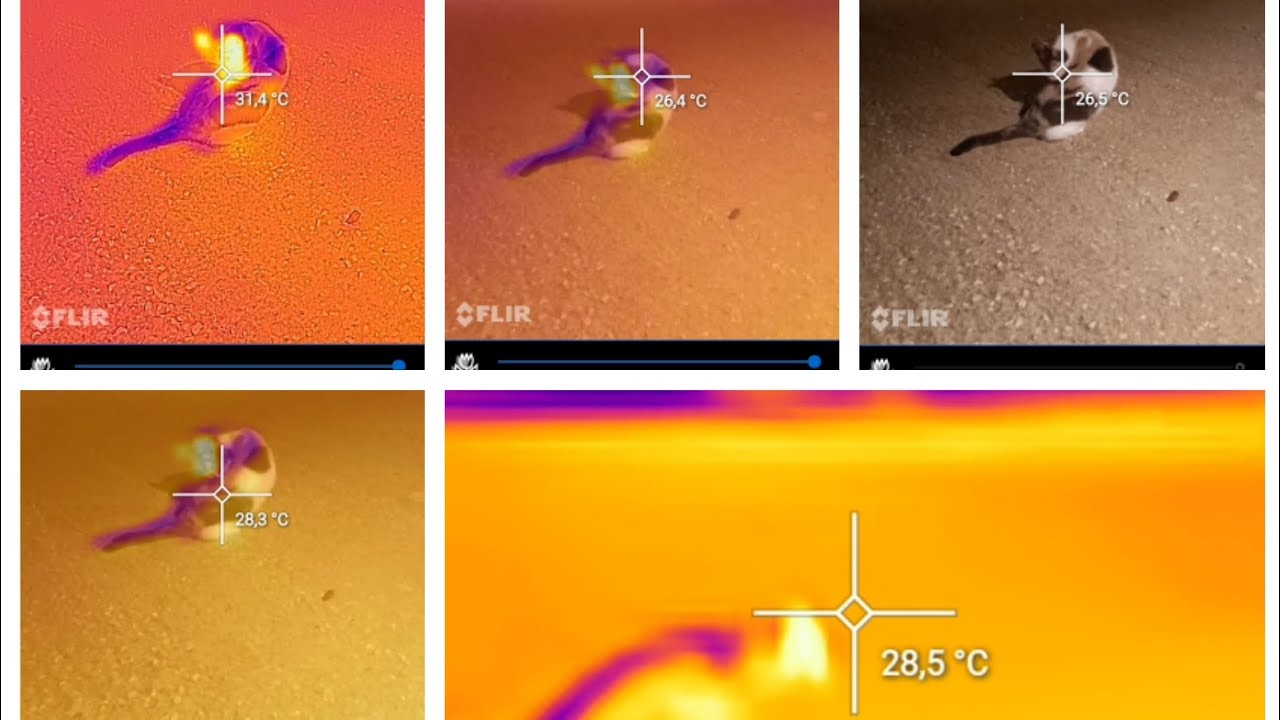 Incredible Thermal camera Ulefone armor 27T Pro all scenes test! Yes ...