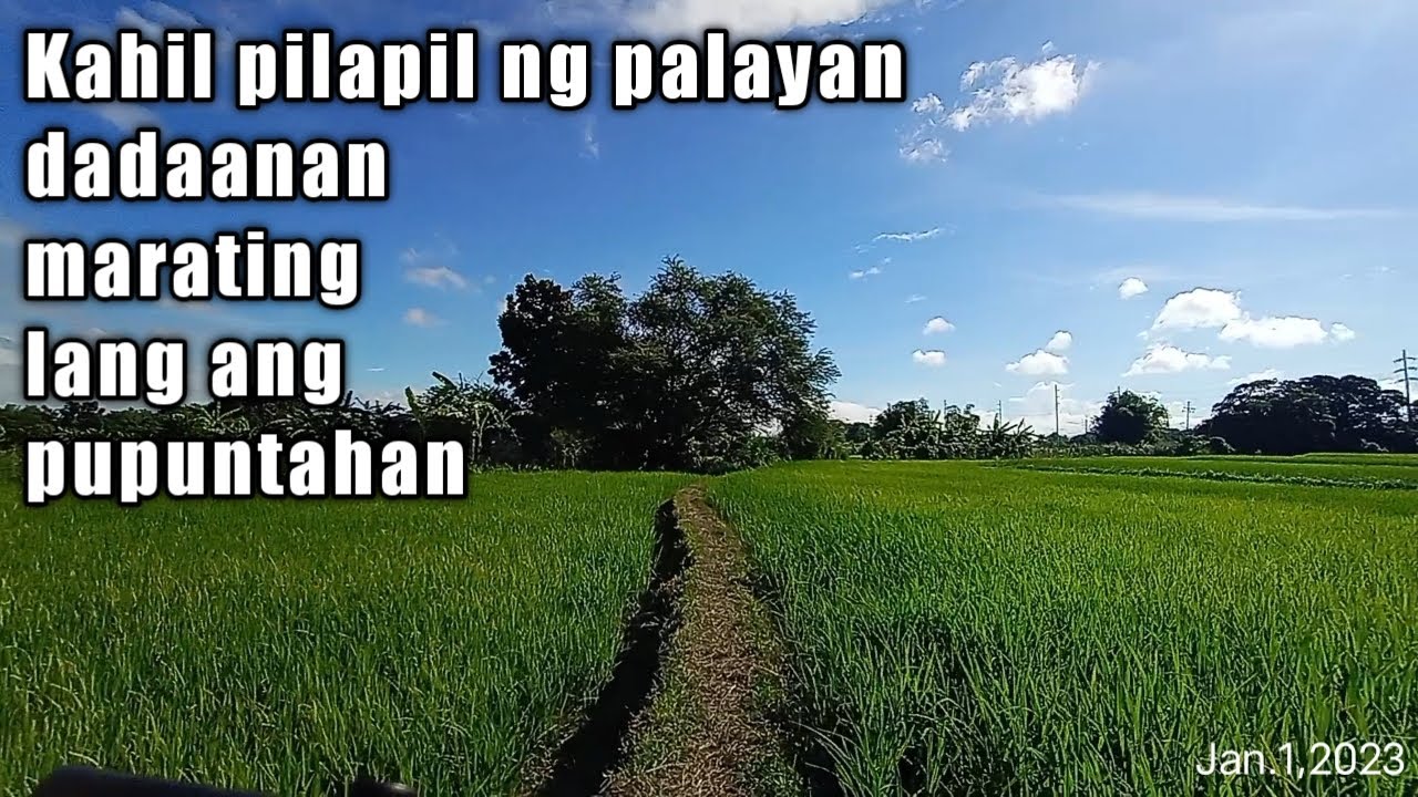 Kahit pilapil ng palayan dadaanan marating lang ang pupuntahan - YouTube
