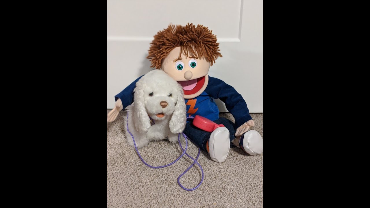 Meet Tommy's New Pet - YouTube