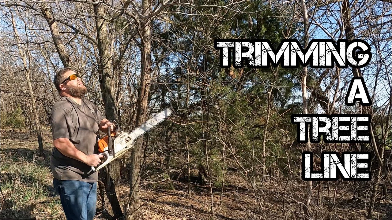 Trimming a Tree Line - YouTube