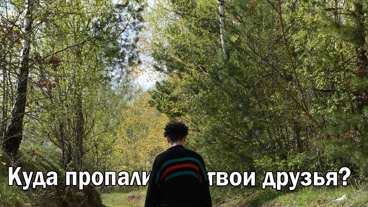 почему твое тело умирает без друзей? (вся суть образовательного ...