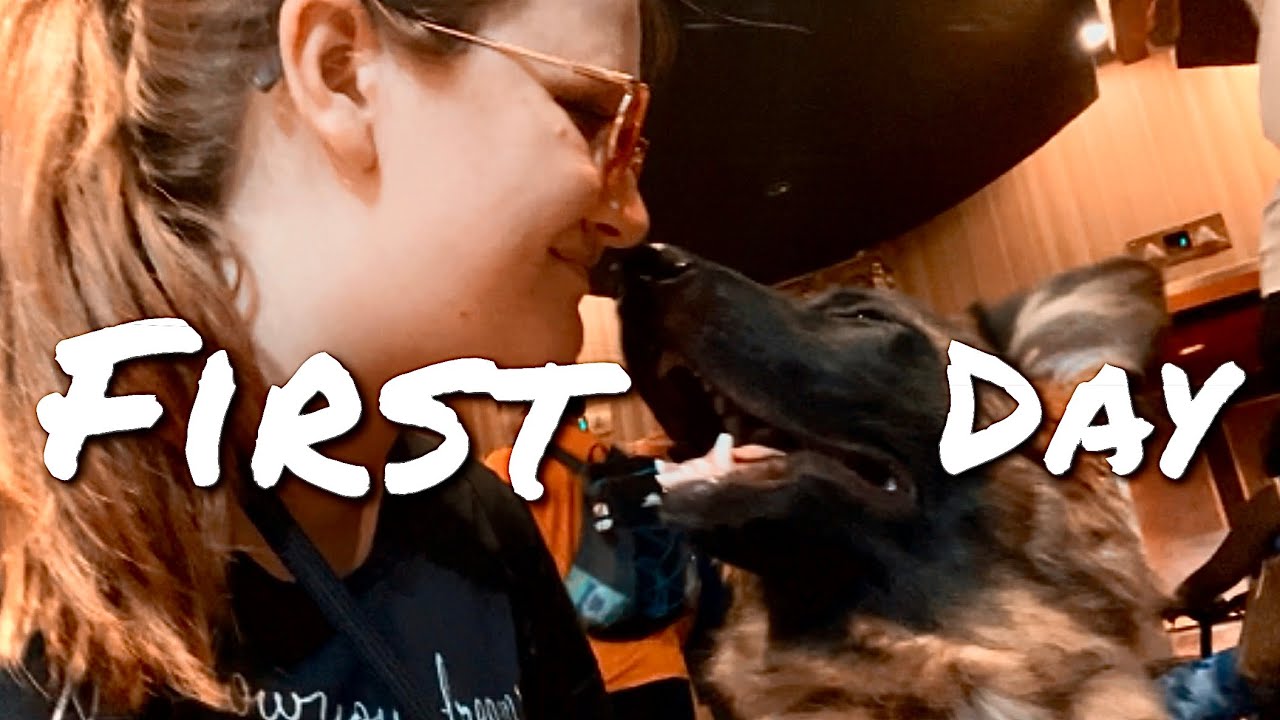 New cardiac alert dog! Las Vegas! - YouTube