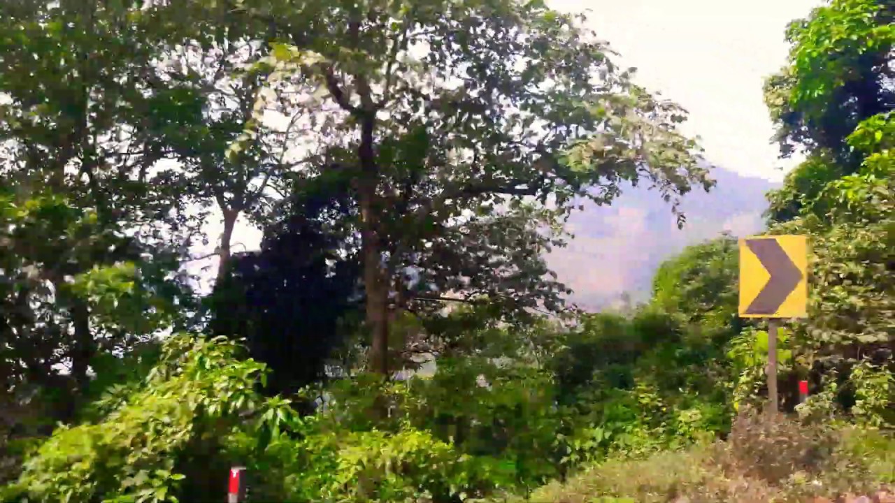 Thamarassery churam road | kerala tourisam | vayanad - YouTube