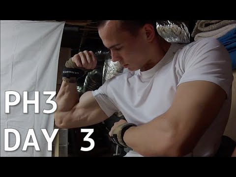 The Beginning Layne Norton's PH3 Day 3 | Squats & Bench - YouTube