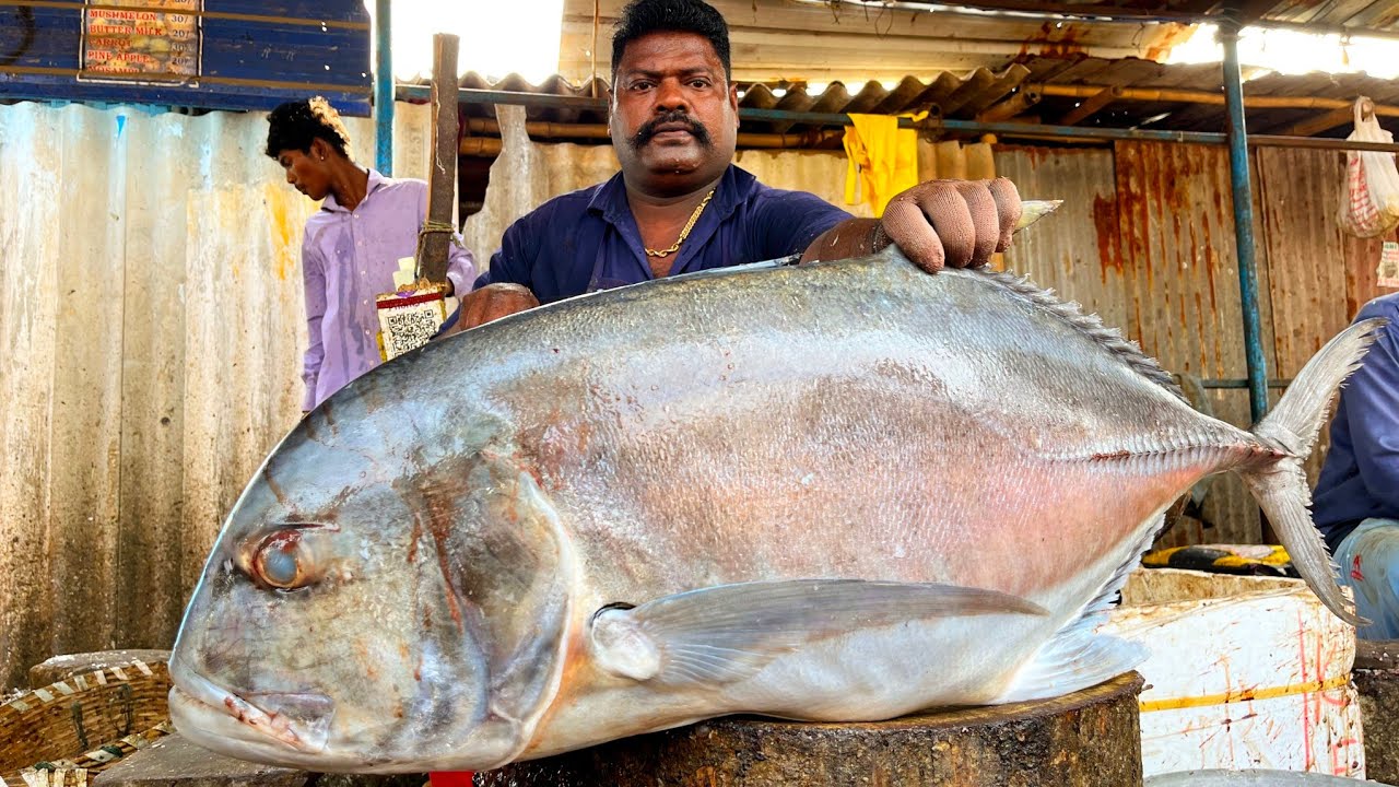 40KG PARRAI FISH 🐟 KASIMEDU SPEED SELVAM AMAZING FISH CUTTING SKILLS # ...