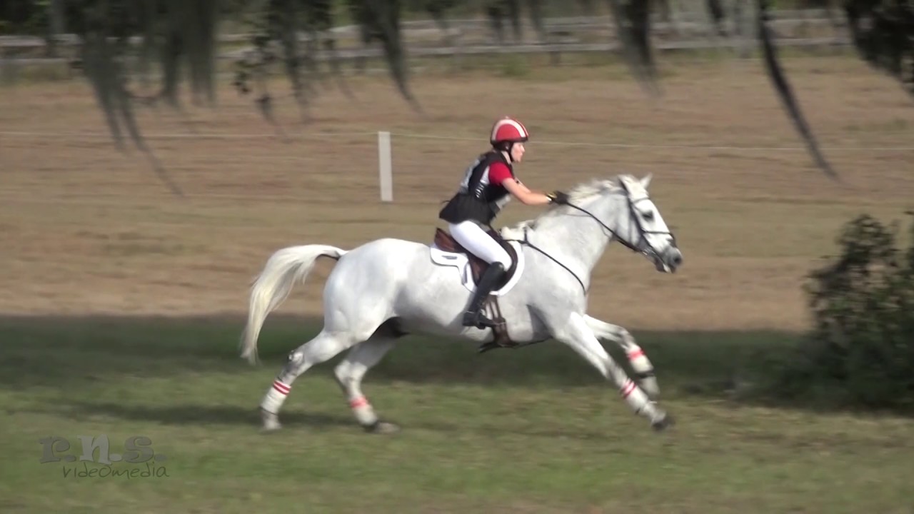 Clara Cargile & White Indian Ocala Jockey Club International CIC & CCI ...