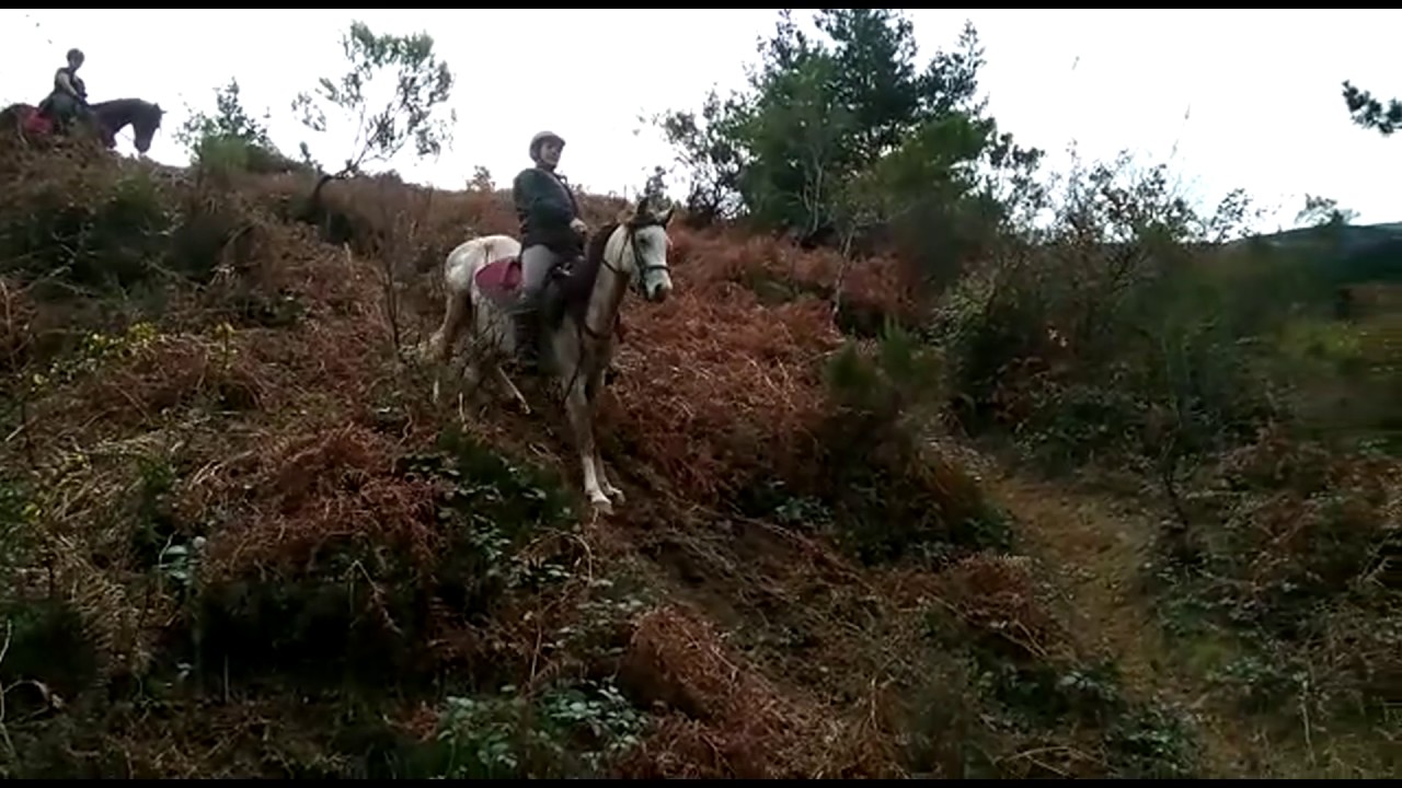 TRAINING DESCENDS WITH MY ARABIAN STALLION. BASQUE COUNTRY. - YouTube