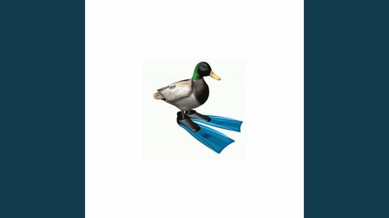 chuck a duck - YouTube