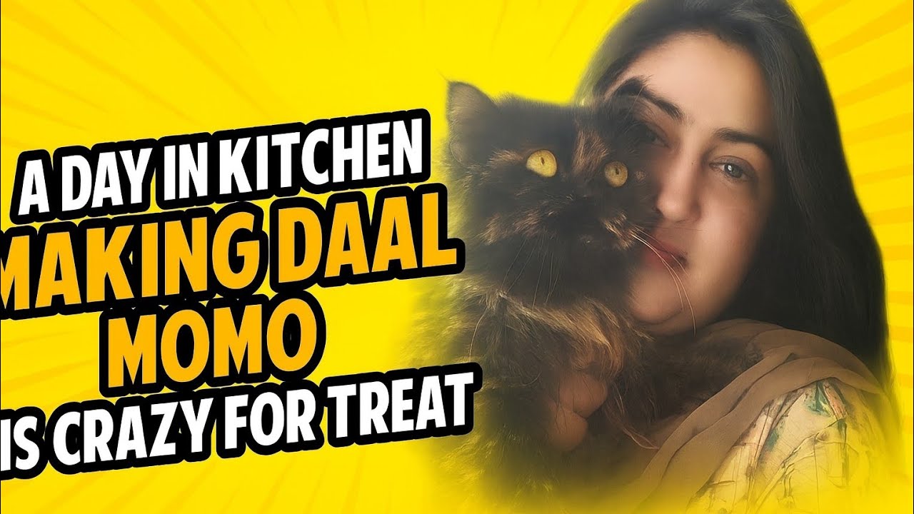 Momo is crazy for Treat... Whole day in Kitchen - YouTube