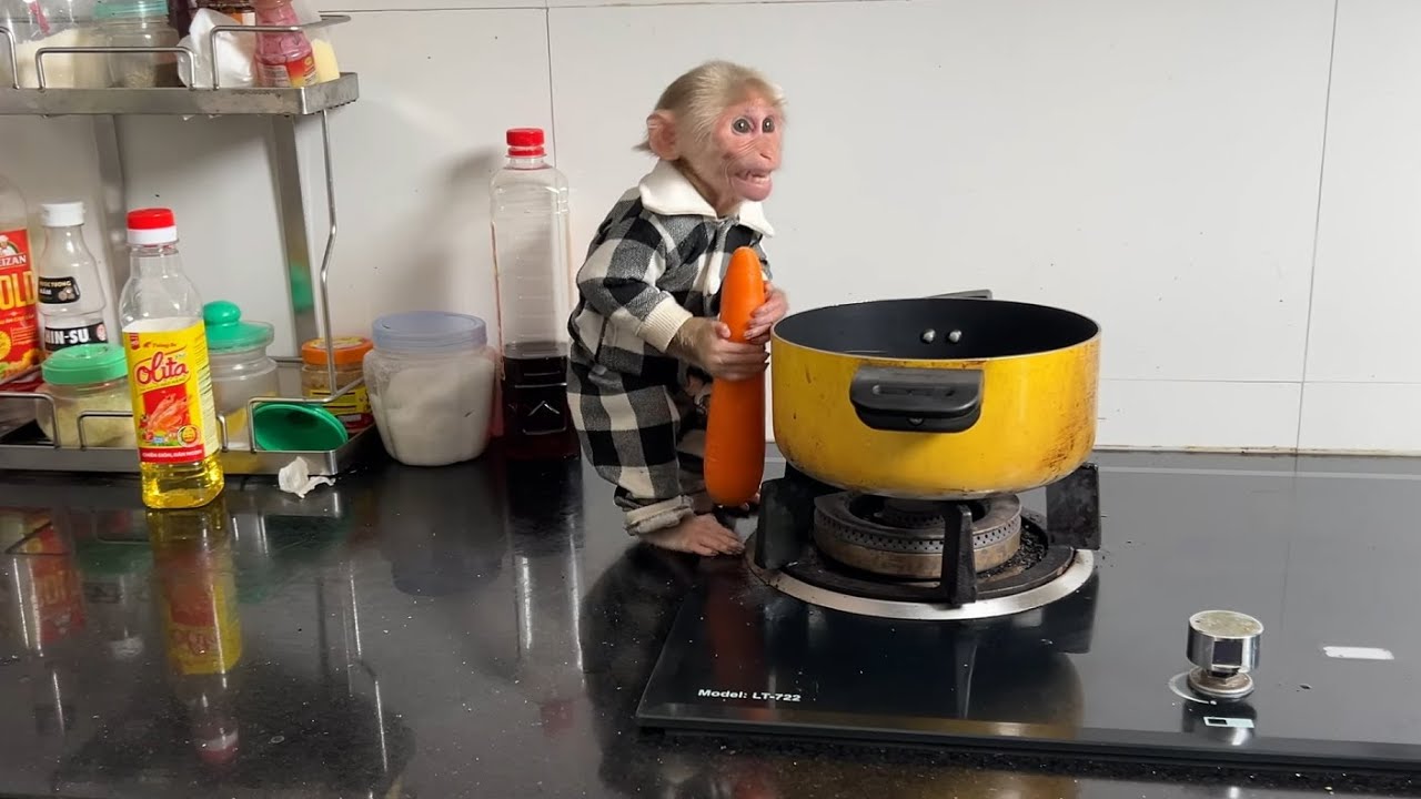Monkey shows off cooking skills but fails miserably - YouTube