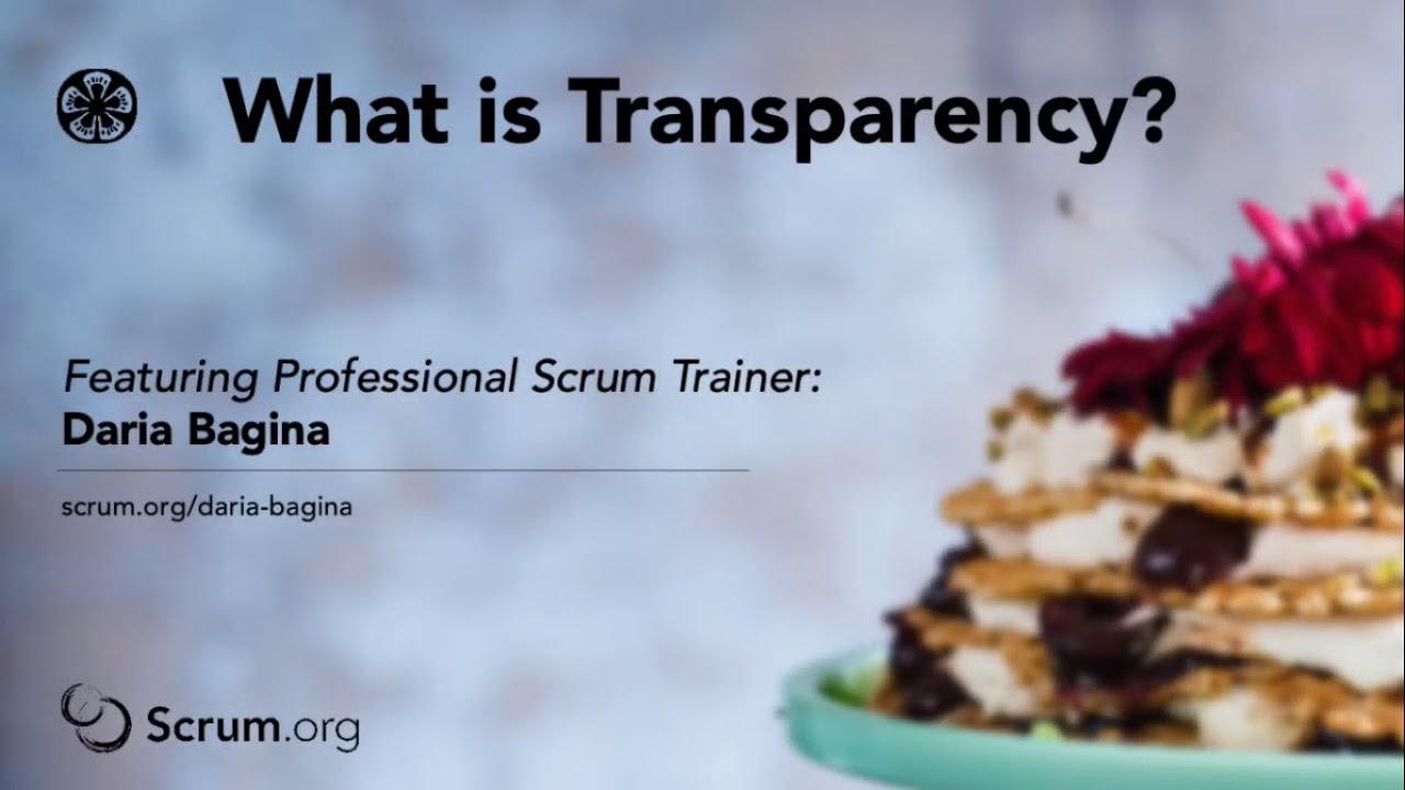 What is Transparency? - YouTube