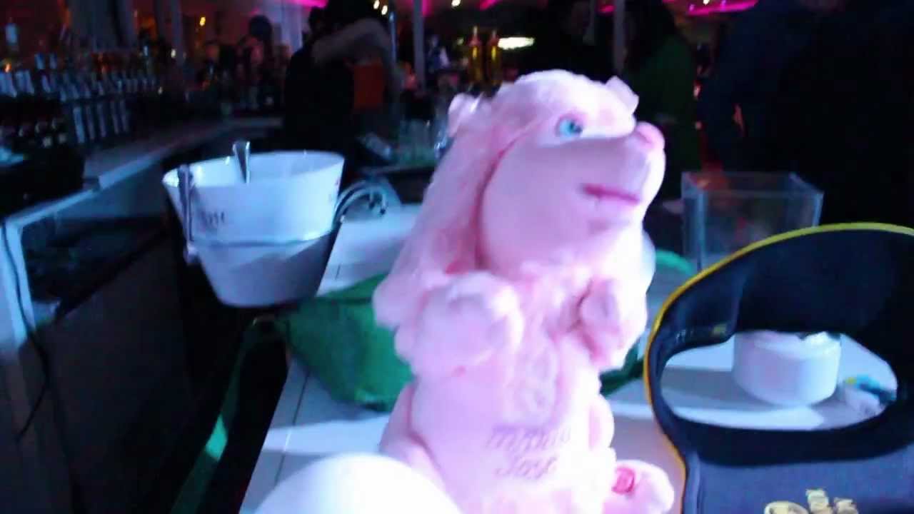 CAFÉ 80 DE 365: ZOOPA DAY - YouTube