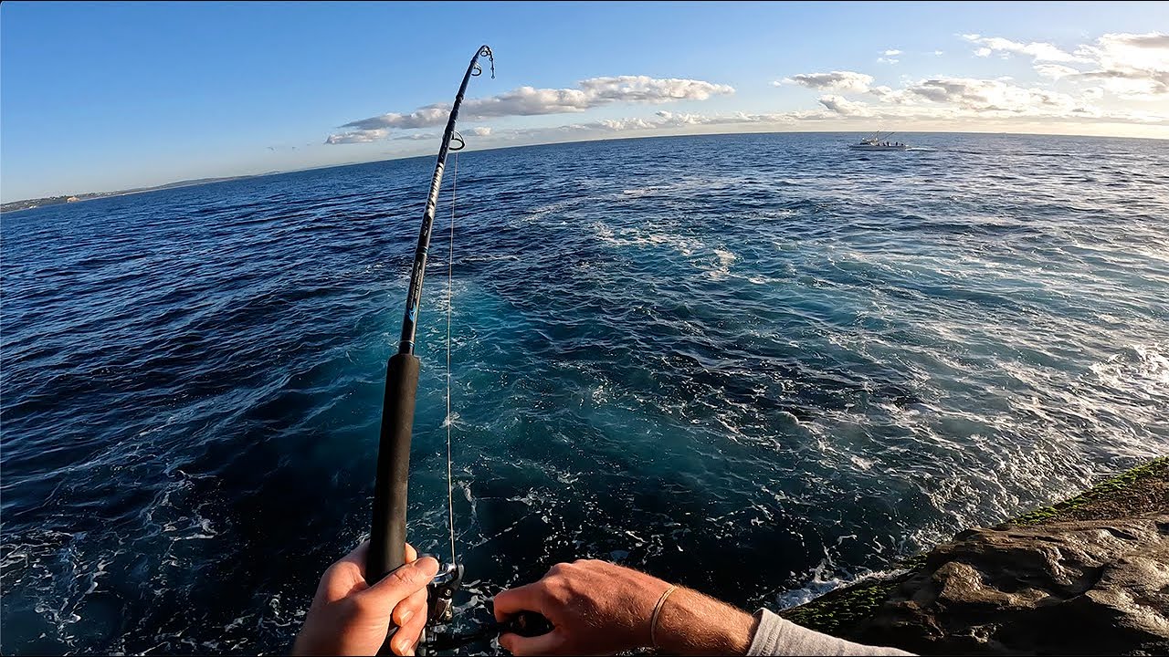 Season opener bonito fishing Sydney land based 4K NSW Australia - Bugsy ...