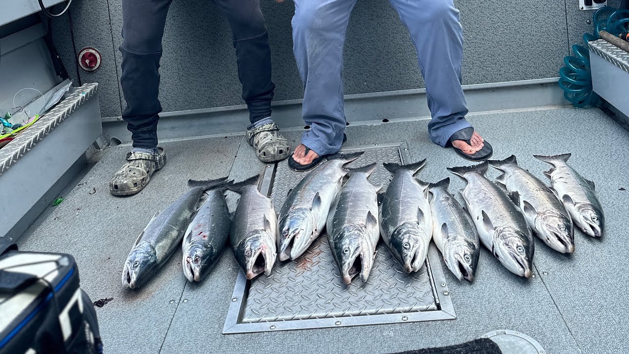 Seward Silver Salmon Derby - YouTube