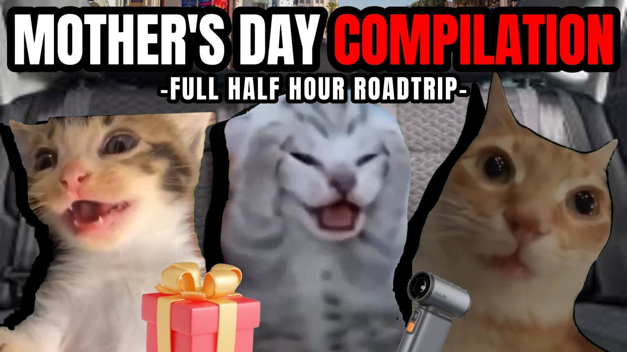 Happy Cat Day Memes World Cat Day GIFs | Tenor