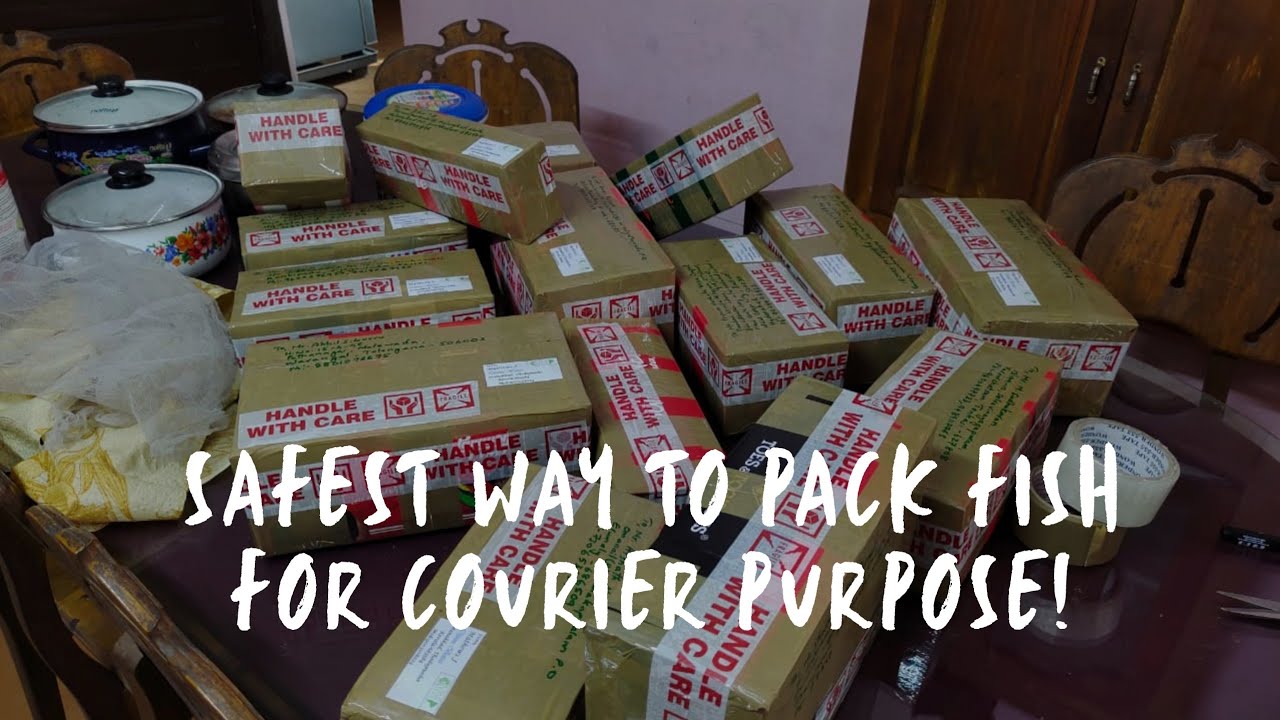 Safest way to pack fish for courier purpose - YouTube