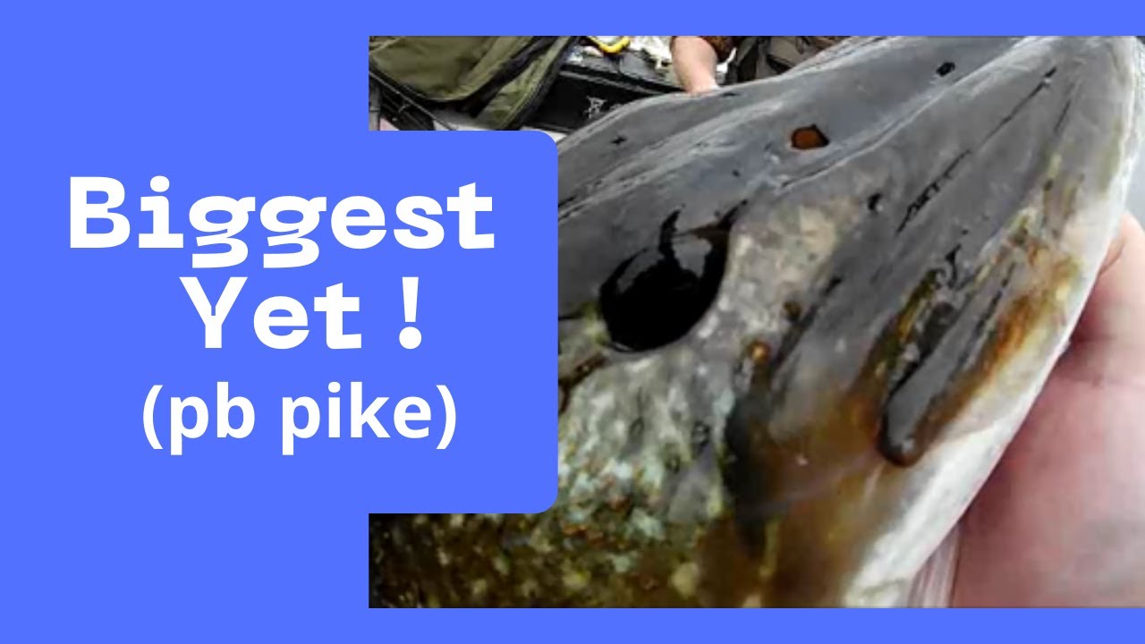 Biggest Yet ! ( pb pike) - YouTube