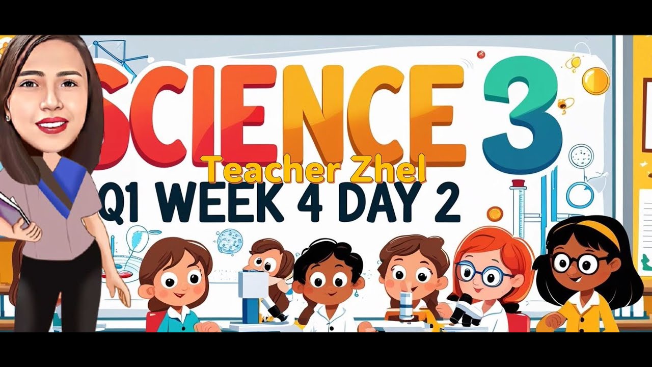 SCIENCE 3 Q1W4D2 REVISED K TO 12 - YouTube
